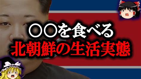 【ゆっくり解説】北朝鮮の生活実態の闇。金正恩国家の富裕層と庶民の生活に密着！1日の食事内容も写真でわかりやすく解説！ Youtube