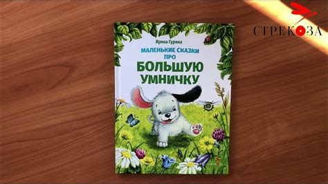 Книга для детей "Маленькие сказки про большую умничку". Гурина Ирина ...