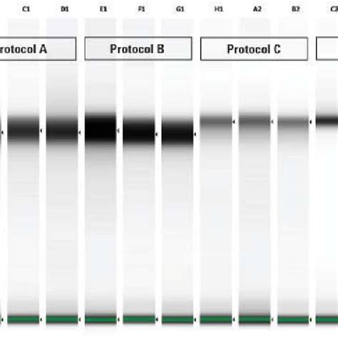 Pdf Analysis Of High Molecular Weight Genomic Dna Using The Agilent 2200 Tapestation And