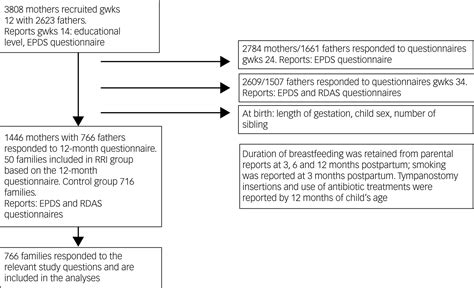 Investigating The Role Of Relationship Satisfaction And Paternal