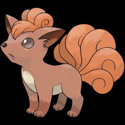037 Vulpix Fox Pokemon Type Fire Ability Flash Fire Drought