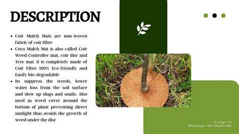 Whole Sale Mulch Tree Rings Mulching Cover Trees Protection Cheap Price