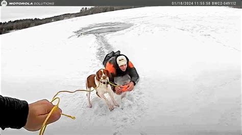 Dog Helps Cop Rescue Man Who Fell Through Ice Youtube