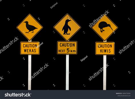 New Zealand Road Signs On Black Stock Photo 1609272034 Shutterstock