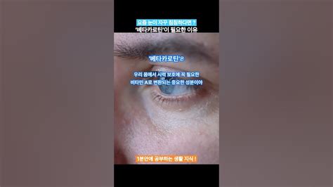 1분안에 공부하는 눈 건강 필수 성분 ‘베타카로틴 효능과 주의점 건강 음식 β Carotene Youtube