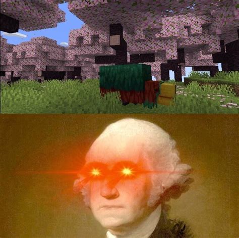 Thoughts On The Just Revealed Cherry Blossom Biome R Minecraftmemes