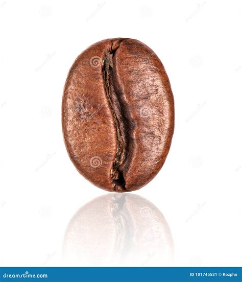 Coffee Bean Closeup Isolated On White Background Stock Image Image Of