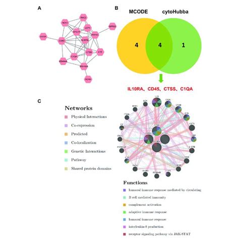 Diagnostic Effectiveness And Dataset Validation Of The Hub Genes For Download Scientific
