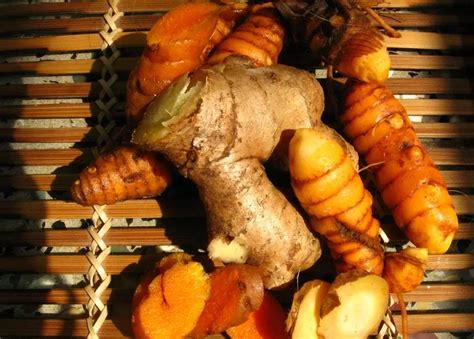 Proč je kurkuma tak zdravá a kolik jí můžeme konzumovat ČeskoZdravě cz
