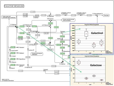 Galactose Metabolism Chart With Box Whisker Plots For Galactosee And