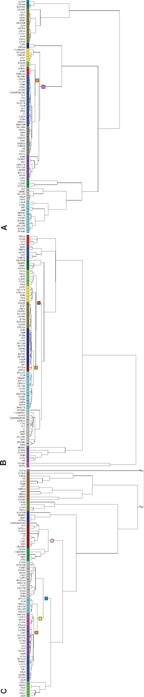 hierarchical clustering of etv6 modulated genes by expression profiles