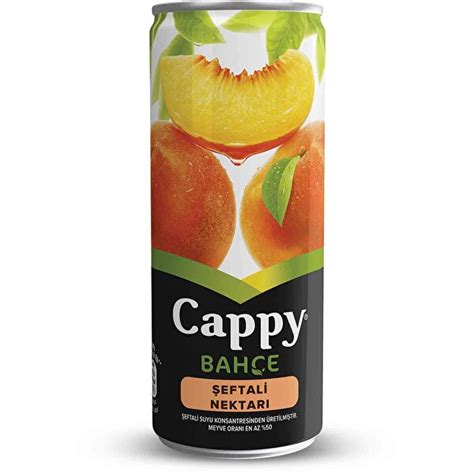 Cappy Şeftali Kutu 250 Ml Carrefoursa