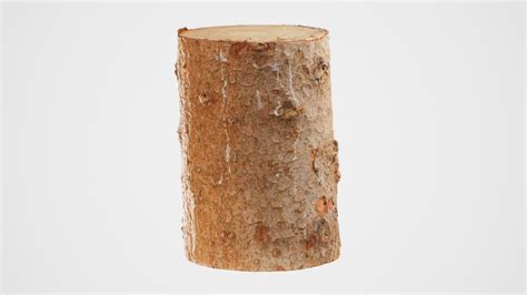 3d Model 3d Scanned Tree Log Turbosquid 1935937