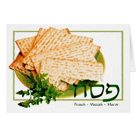 Pesach Matzah Maror Passover Card Zazzle