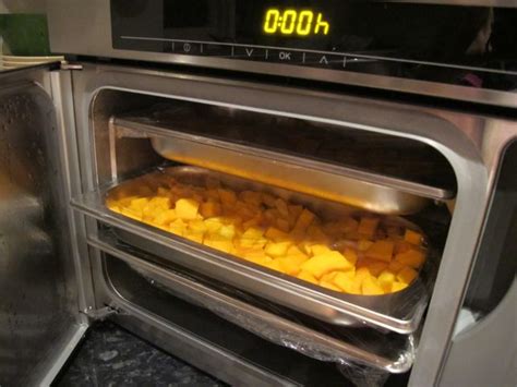 Steam Oven Pros And Cons Steam Oven Review Miele