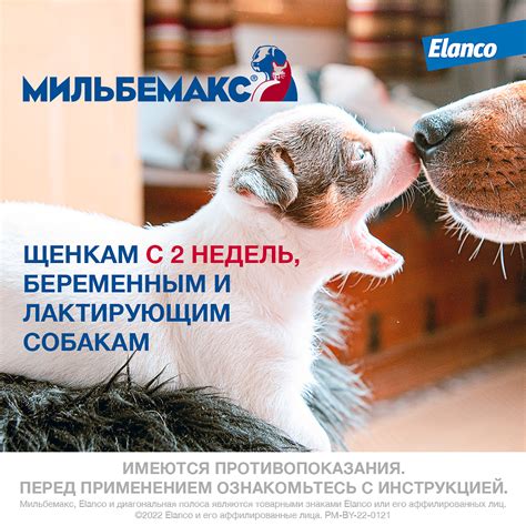 Мильбемакс от гельминтов для крупных собак 12,5 мг/125 мг таблетки 2 шт ...