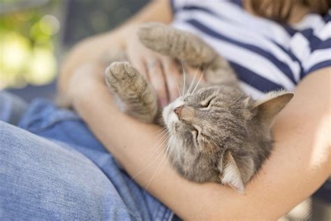 Why Are People Ticklish Causes And Prevention