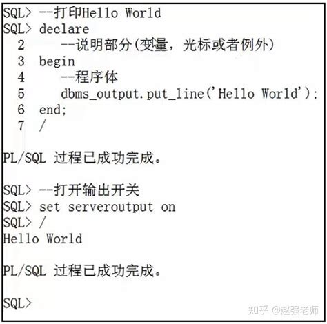 【赵渝强老师】什么是plsql？ 知乎