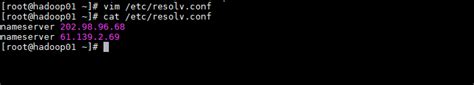 解决linux域名解析不了的问题（ping不了） linux无法解析百度 csdn博客