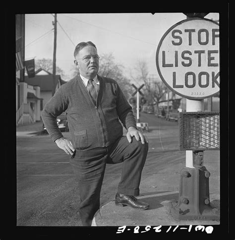 Bushong Images Free Photos Png Stickers Wallpapers And Backgrounds