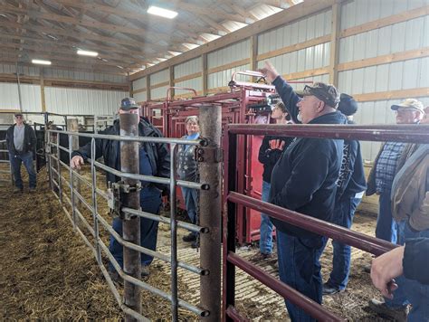 Adapting To New Challenges In The Beef Cattle Business Ohio Beef