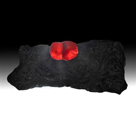 Almandine Pyrope Minerals For Sale 1602489