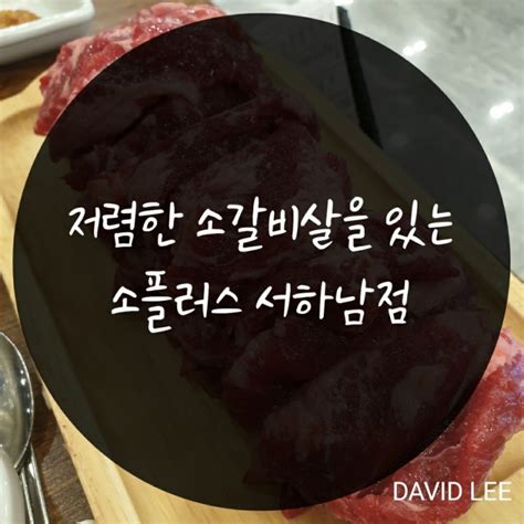 하남 소고기 맛집 소플러스 서하남점 소갈비살 생갈비 육회 가성비식당 네이버 블로그