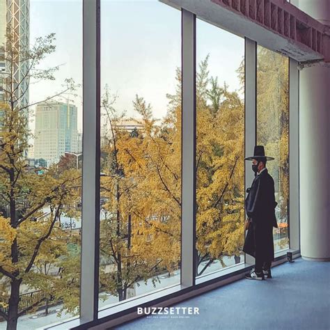 HiKR Ground Newest Tourist Attraction In Seoul Buzzsetter
