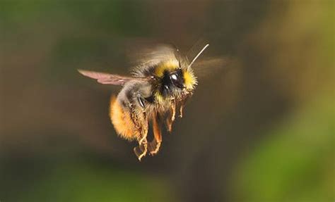 Cloudbees Extends Partner Ecosystem