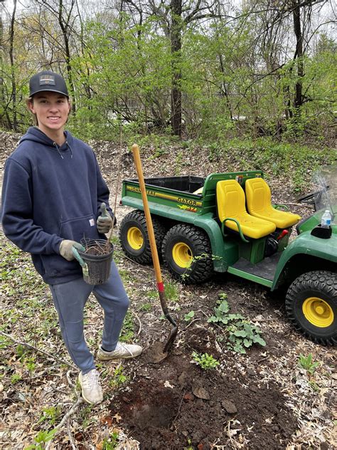 Oak Tree Planting Village Of Barrington Hills