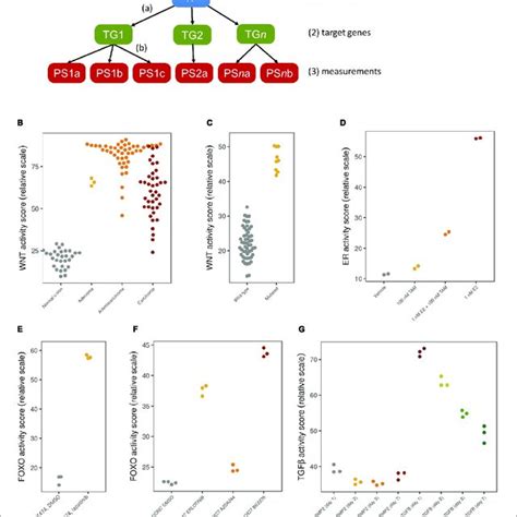 bayesian model and validation results a the network structure of