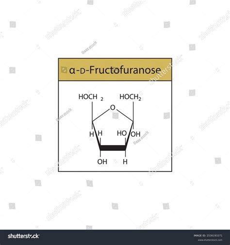 Α D Fructofuranose Skeletal Structure Diagramsugar Compound Molecule Stock Vector Royalty Free