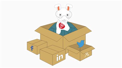 Contact Us Pooka And Co