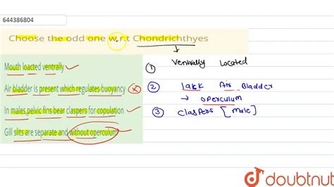 In Males Pelvic Fins Bear Claspers For Copulation