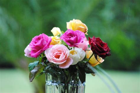Rupesh Kumar On Linkedin Hi Everyone I Am Looking For An It Manager