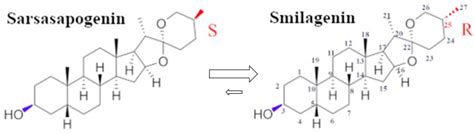 Acid Hydrolysis Of Saponins Extracted In Tincture Pmc