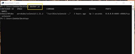 13 Selenoid Qa Guru Knowledge Base GitHub Wiki