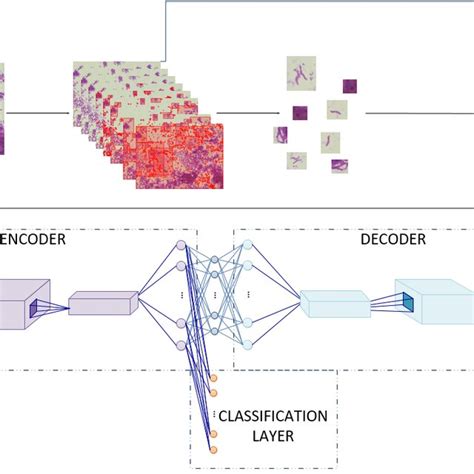 PDF Encoder Decoder Based CNN Structure For Microscopic Image Identification