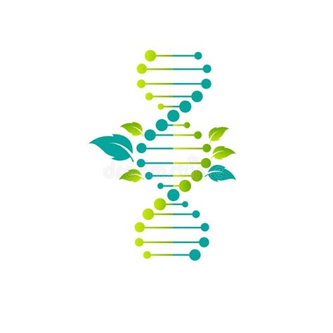 DNA Symbol Strand Isolated On White Background Stock Illustration
