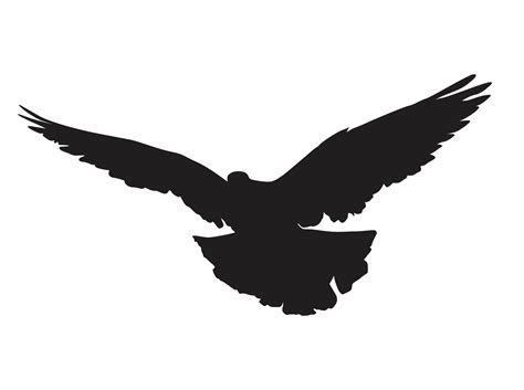Flying Bird Pngs For Free Download