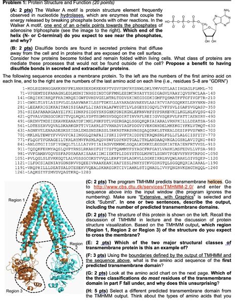 SOLVED Problem T Protein Structure And Function 20 Points A 2 Pts