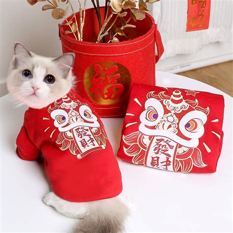 【寵愛一生】發財寵物新年衣服 寵物保暖衣 寵物衣服 狗狗衣服 狗衣服 貓咪衣服 貓衣服 寵物過年衣服 秋冬裝 小型犬衣服 蝦皮購物