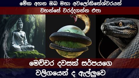 මේක අහන ඔබ මහා අවලෝකිතේශ්වරයන් වහන්සේ වරද්දගන්න එපා Youtube
