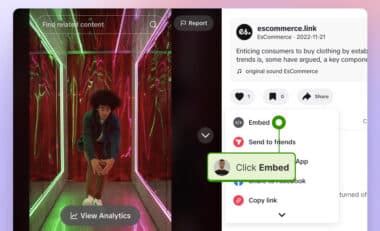How To Embed Social Media In Website All Options EmbedSocial