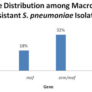 Percentage Of Gene Distribution Among Macrolide Resistant S Pneumoniae
