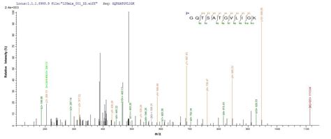 Eta Staphylococcus Aureus Recombinant Protein Li Expressed 6xhis Tag