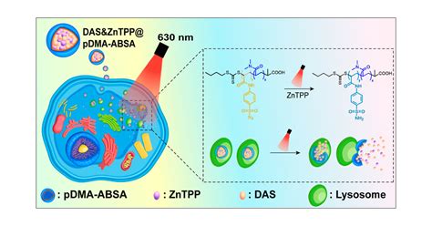 Amphiphilic Block Copolymers Containing Benzenesulfonyl Azide Groups As