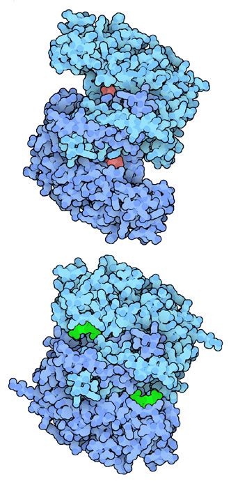 Citrate Structure
