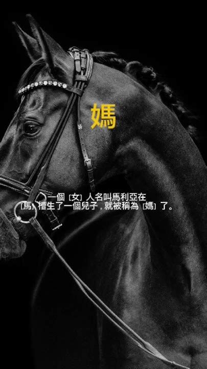 媽 字的由來 Youtube