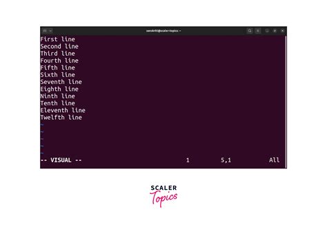 How To Edit Files In Linux Scaler Topics